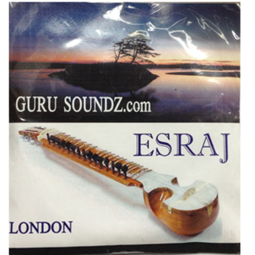 Special Indian Instruments Archives - Guru Soundz